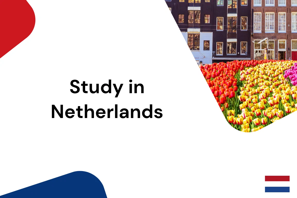 Study in Netherlands | Sugimoto Visa